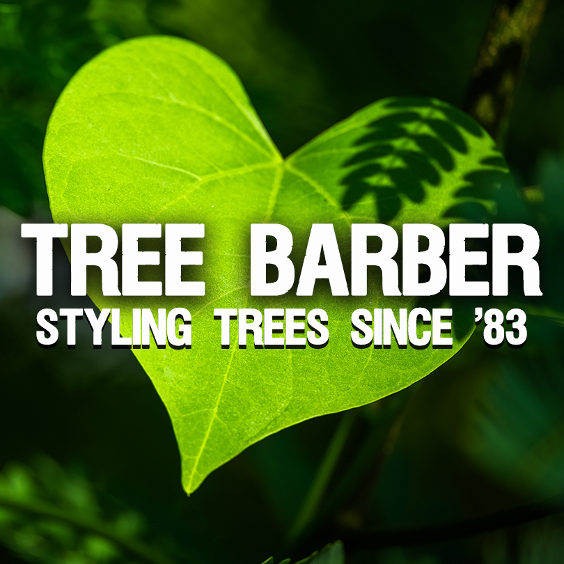 Tree Service and Tree Trimming in North County San Diego