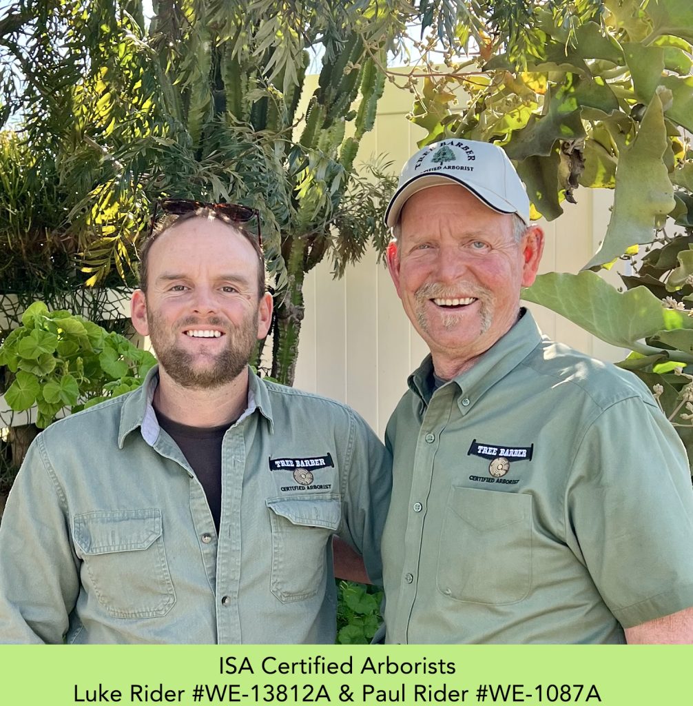 Tree Barber Inc - Know More About Us - ISA Certified Arborists